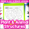 Comparing Plant and Animal Structures – 5th Grade Endoskeletons ...