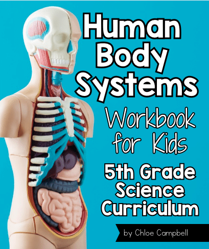 Human Body Systems for Kids Workbook – 5th Grade Science Curriculum ...
